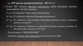 Enzyme introduction | PPTX
