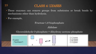 Enzyme introduction | PPTX