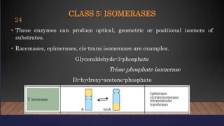 Enzyme introduction | PPTX
