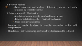 Enzyme introduction | PPTX