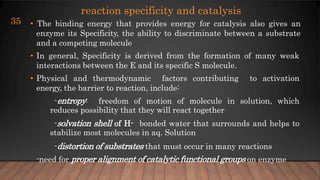 Enzyme introduction | PPTX