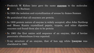 Enzyme introduction | PPTX