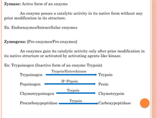 Enzyme Introduction and Classification.pptx