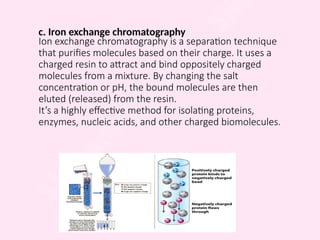Enzyme Isolation and Purification mithun | PPTX