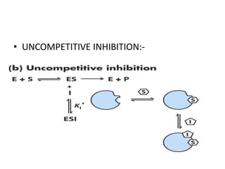 Enzyme kinectics, by kk sahu | PPTX | Chemistry | Science