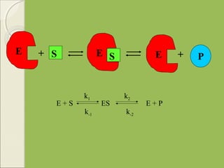 Enzyme kinetics | PPT
