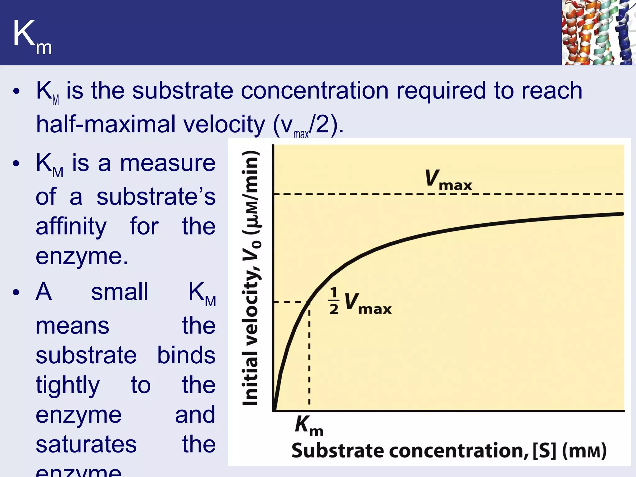 Enzyme kinetics | PPT