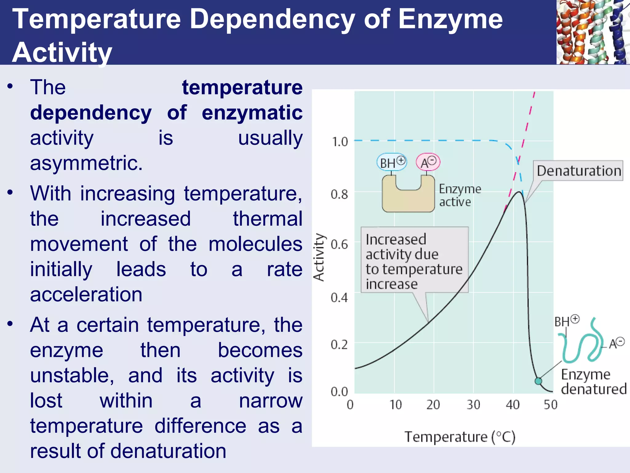 Enzyme kinetics | PPT