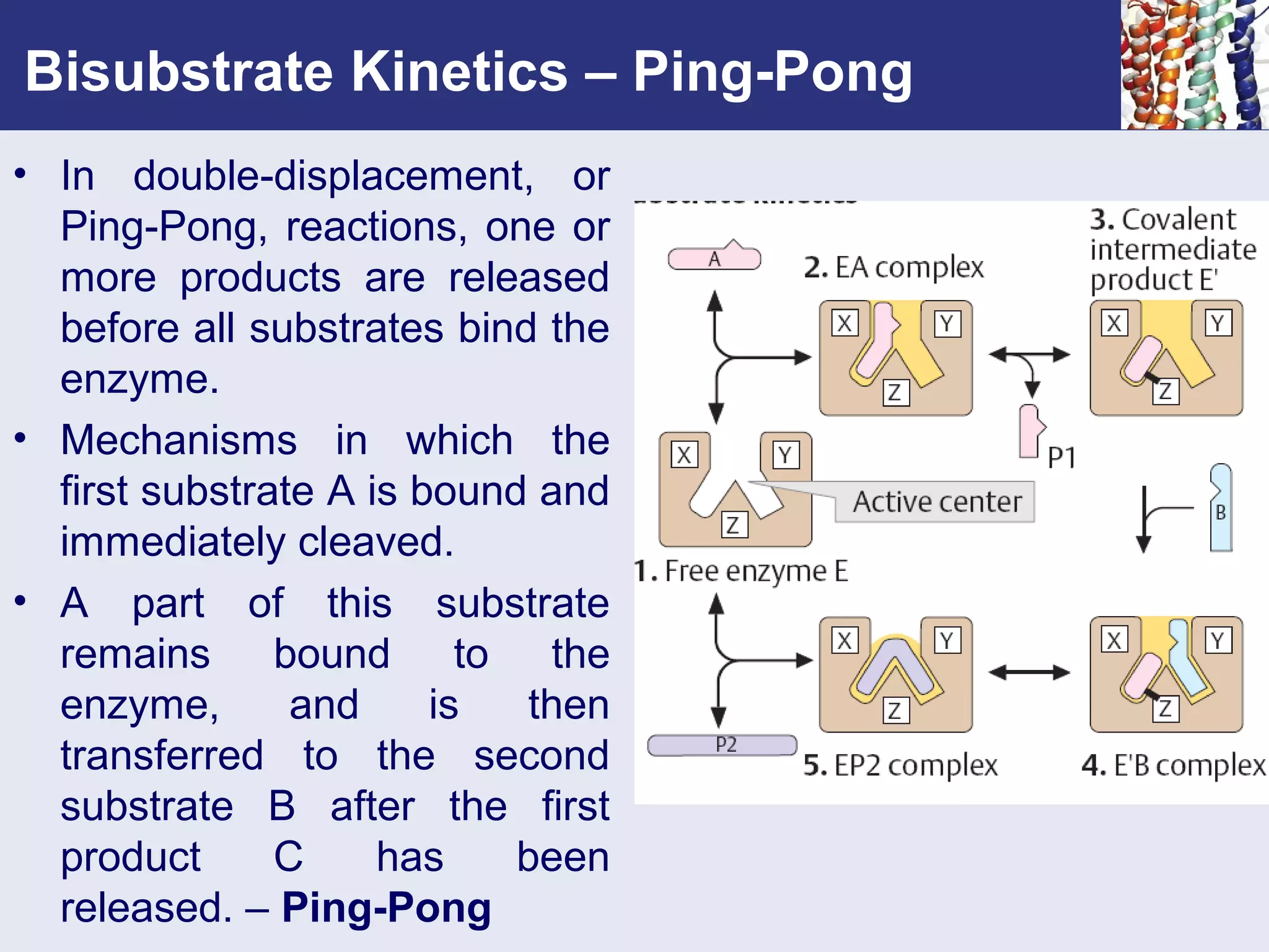 Enzyme kinetics | PPT