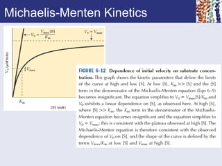 Enzyme kinetics | PPT