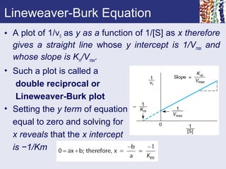 Enzyme kinetics | PPT