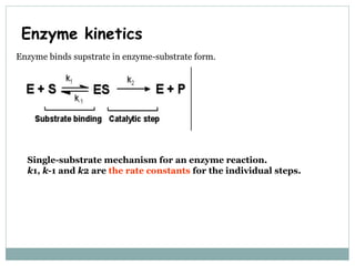 Enzyme kinetics | PPTX