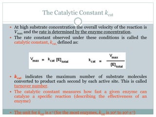 Enzyme kinetics | PPTX | Chemistry | Science