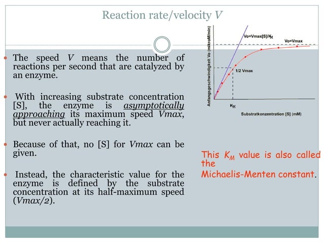 Enzyme kinetics | PPTX | Chemistry | Science