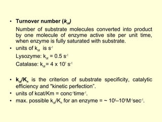 Enzyme kinetics | PPT