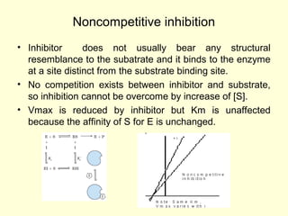 Enzyme kinetics | PPT