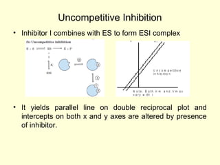 Enzyme kinetics | PPT