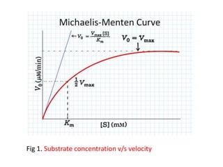 Enzyme Kinetics | PPTX