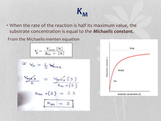Enzyme Kinetics_.pptx