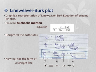 Enzyme Kinetics_.pptx