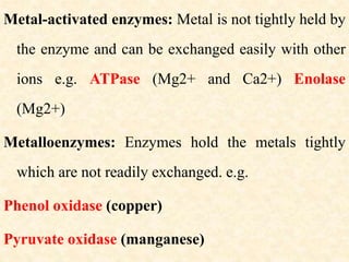 enzyme kinetics.pptx