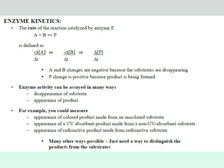 Enzyme Kinetics.ppt