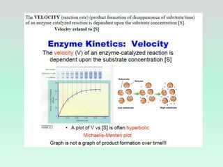 Enzyme Kinetics.ppt