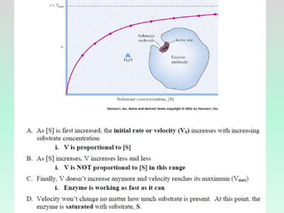 Enzyme Kinetics.ppt