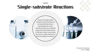 Enzyme kinetics | PPTX
