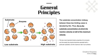 Enzyme kinetics | PPTX