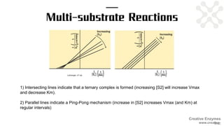Enzyme kinetics | PPTX