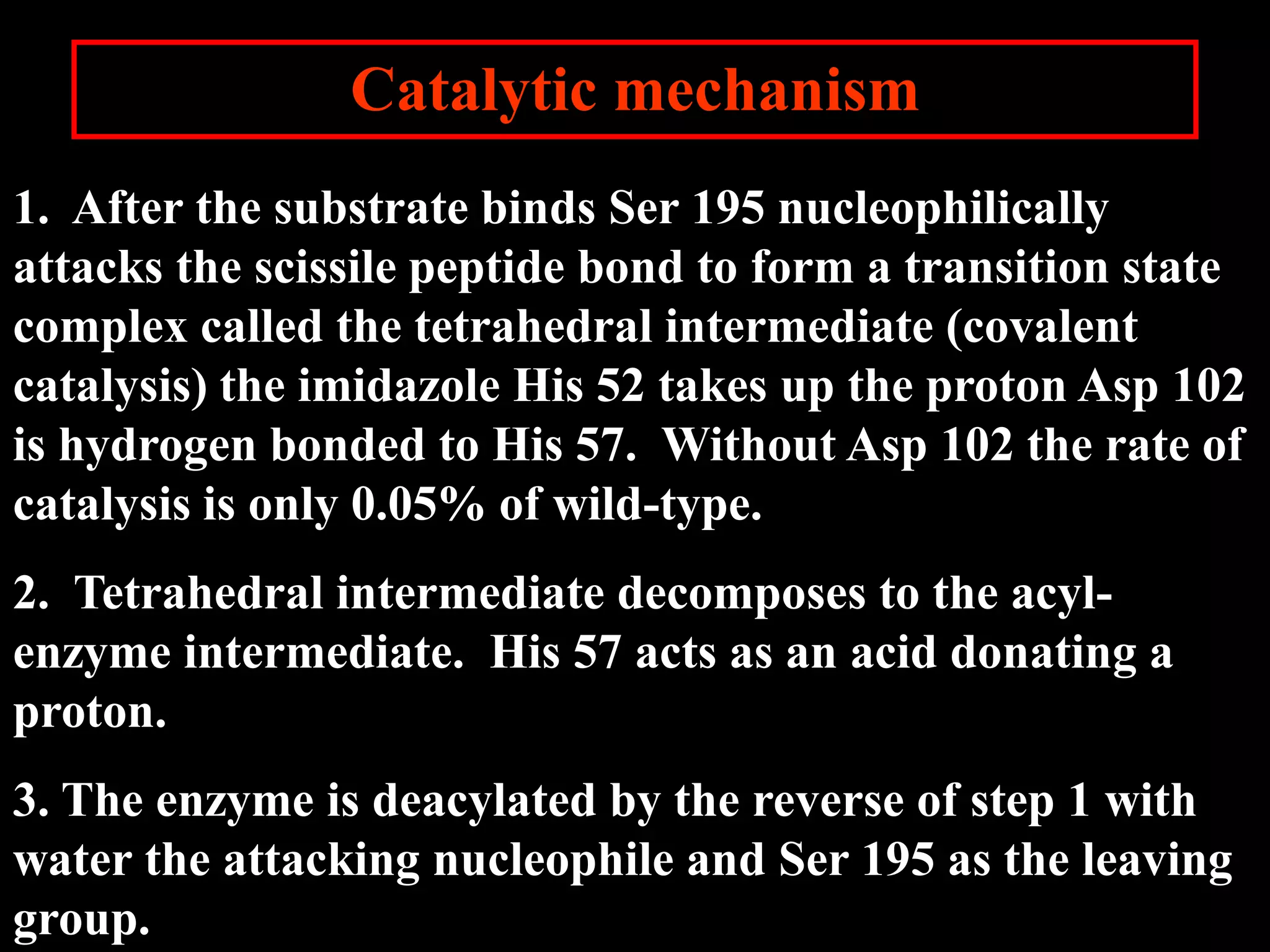 Enzyme kinetics and catalysis | PPT