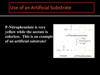 Enzyme kinetics and catalysis | PPT