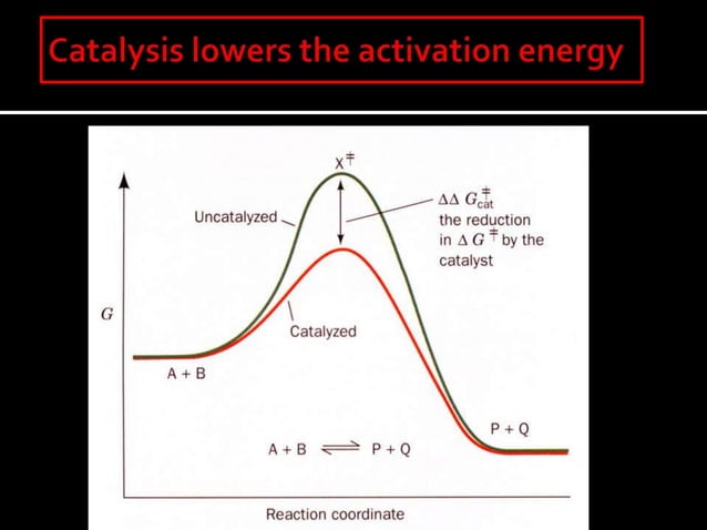 Enzyme kinetics and catalysis | PPT | Chemistry | Science