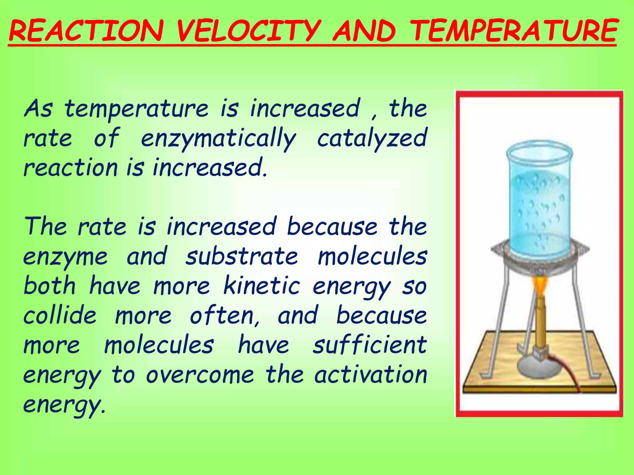 ENZYME KINETICS AND REGULATION OF ENZYME ACTIVITY.ppt