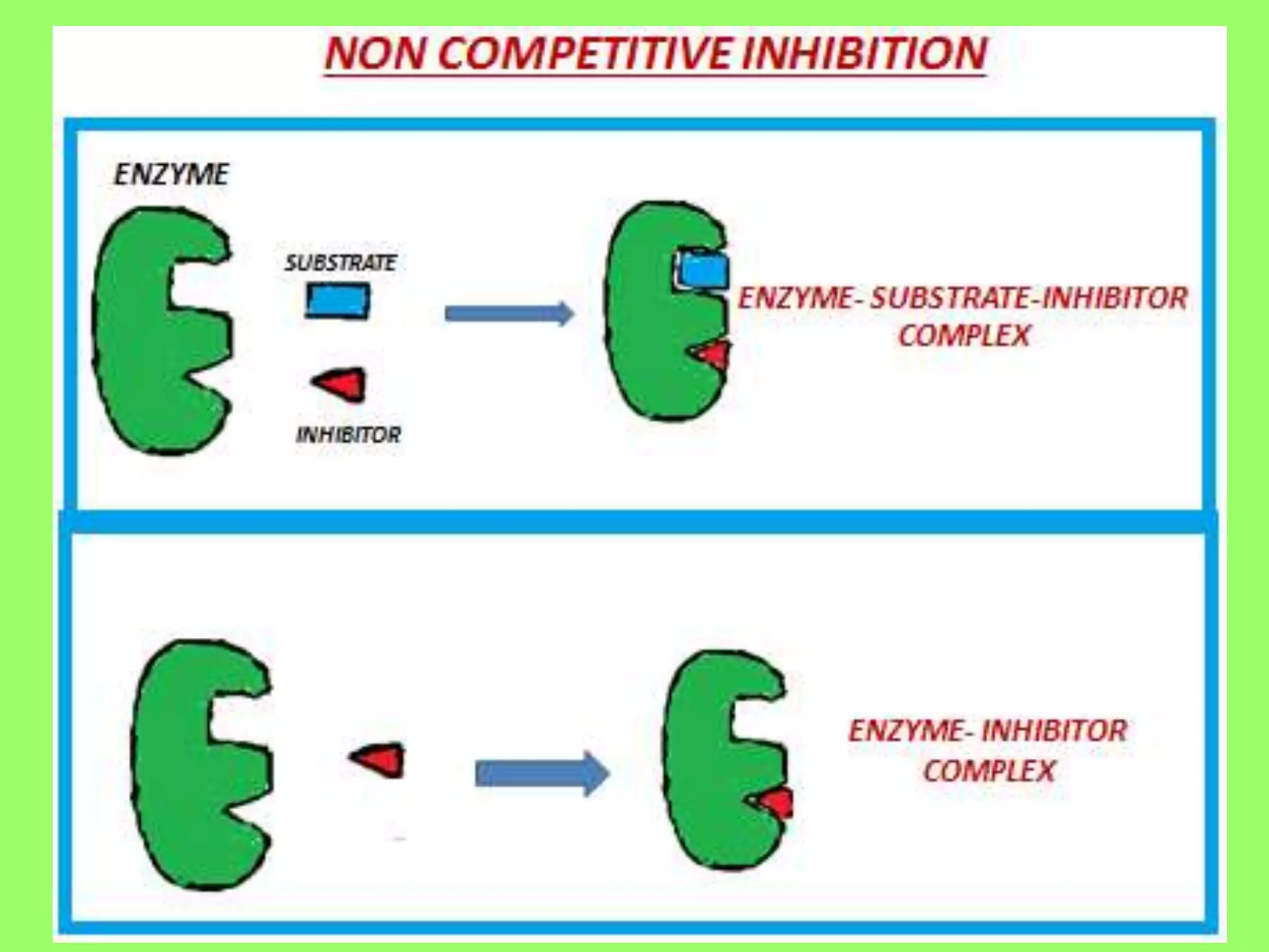 ENZYME KINETICS AND REGULATION OF ENZYME ACTIVITY.ppt