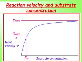 ENZYME KINETICS AND REGULATION OF ENZYME ACTIVITY.ppt