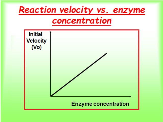ENZYME KINETICS AND REGULATION OF ENZYME ACTIVITY.ppt | Endocrine and ...