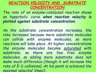 ENZYME KINETICS AND REGULATION OF ENZYME ACTIVITY.ppt