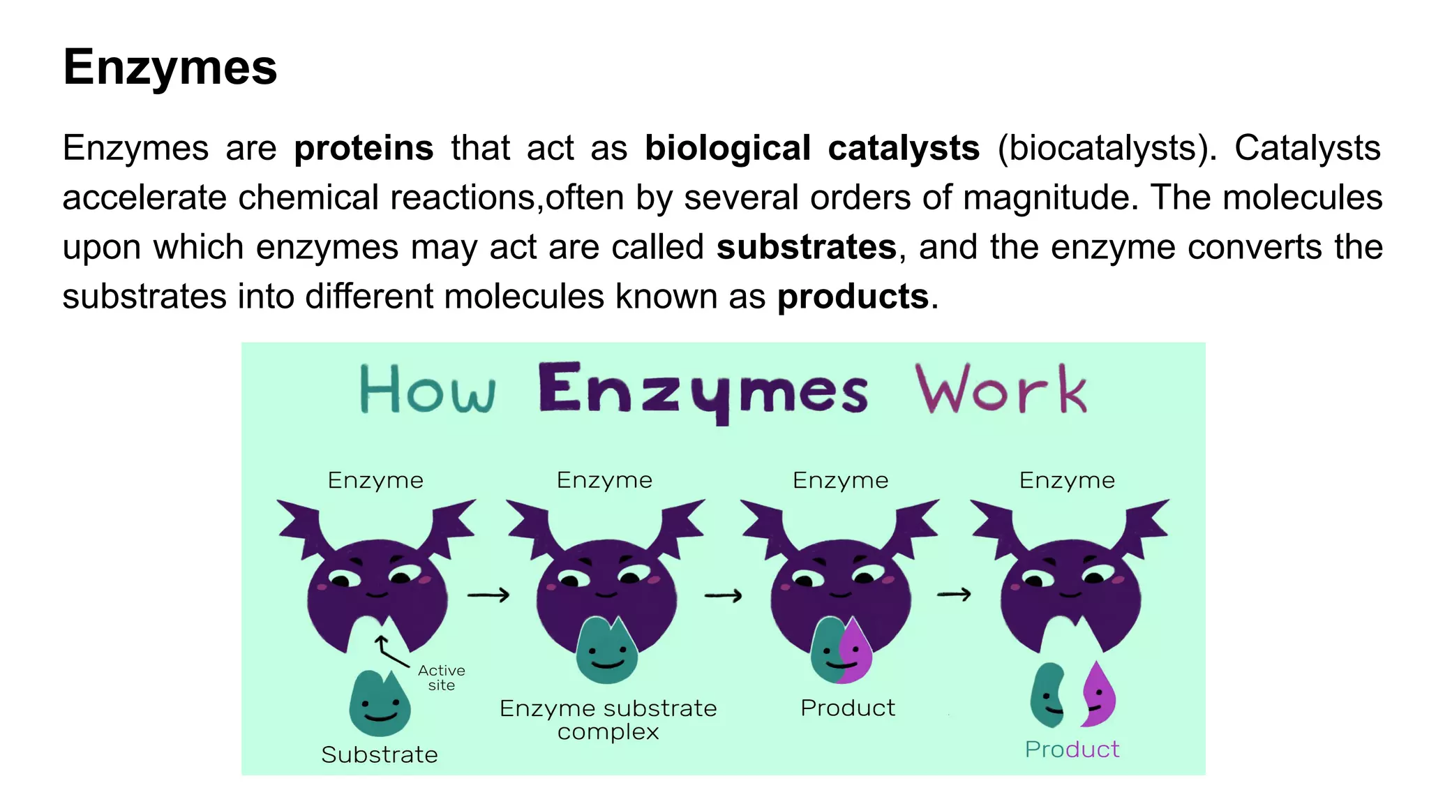 Enzyme kinetics by Pranjal Sharma | PDF