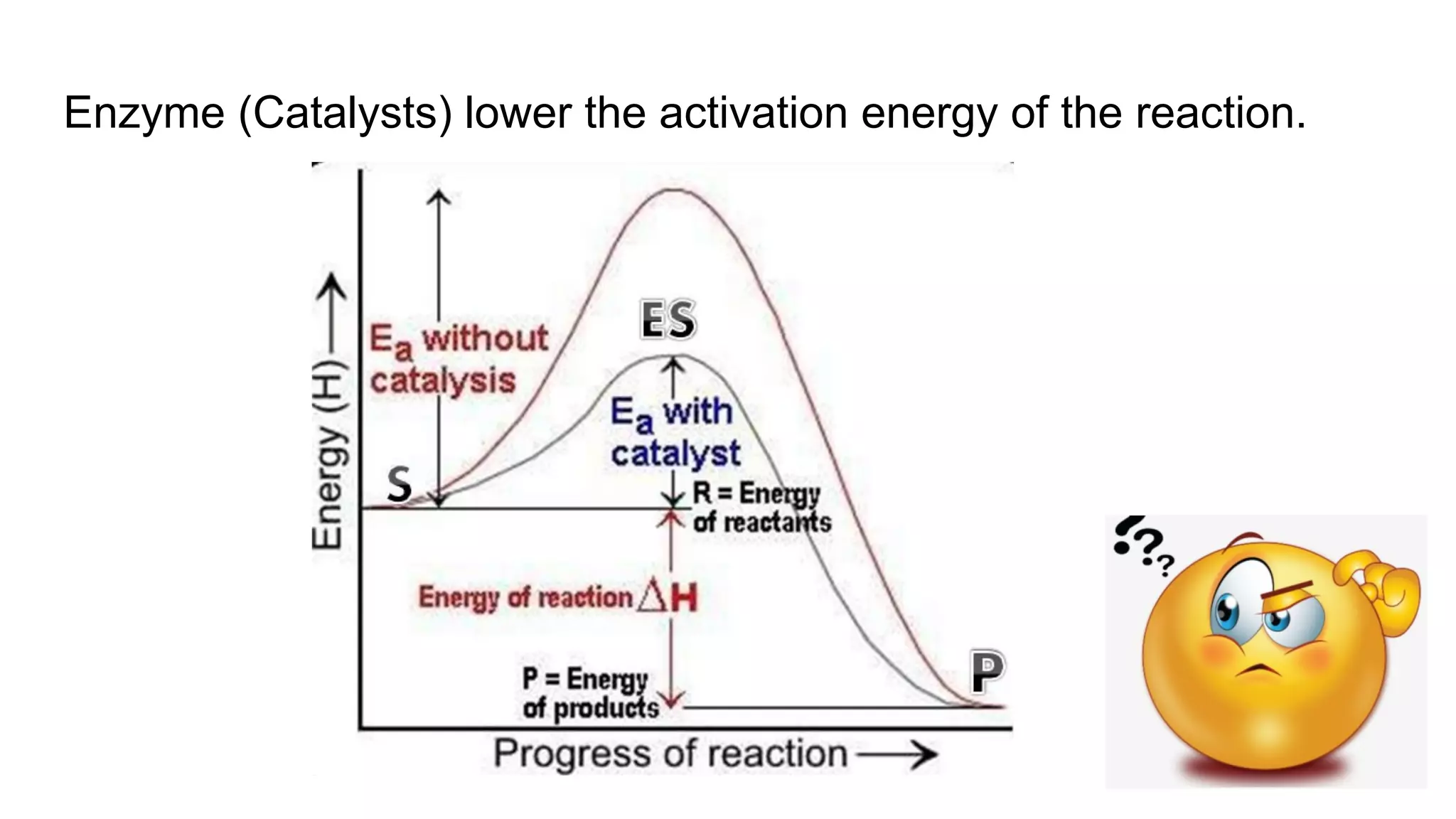 Enzyme kinetics by Pranjal Sharma | PDF