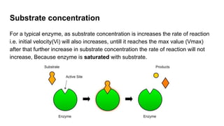 Enzyme kinetics by Pranjal Sharma | PDF