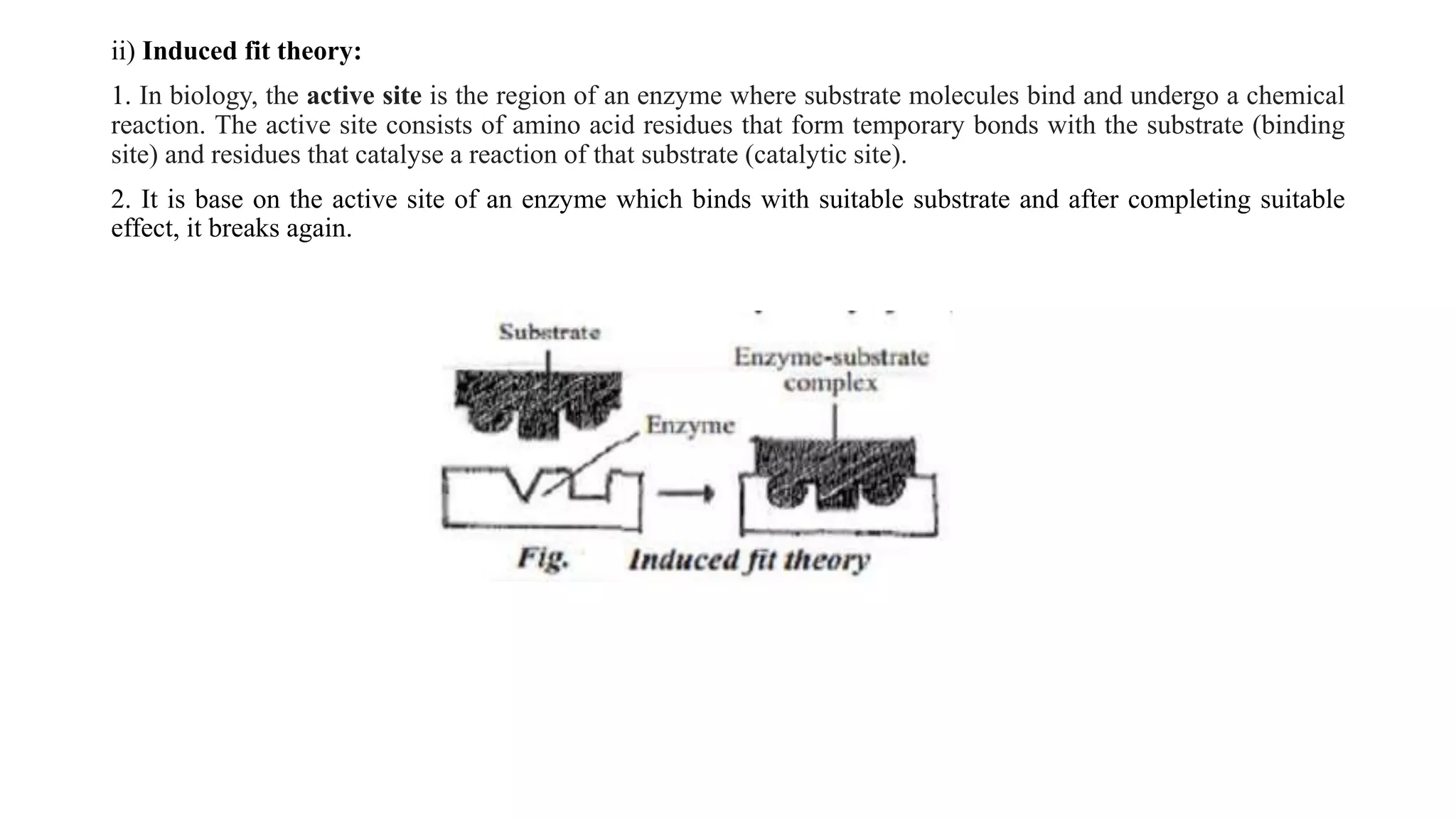 Enzyme kinetics, factors and mechanism of enzyme activity | PDF