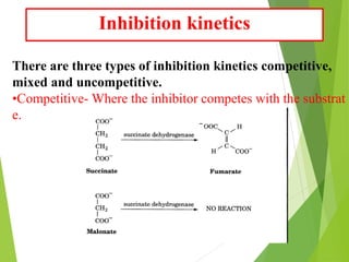 Enzyme kinetics and biocatalyst in a cell | PPT