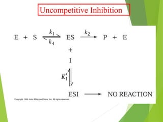 Enzyme kinetics and biocatalyst in a cell | PPT