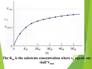 Enzyme kinetics and biocatalyst in a cell | PPT