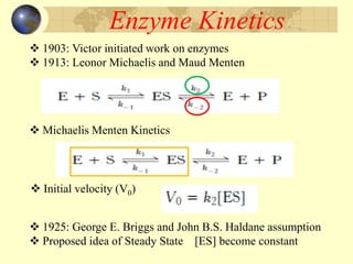 Enzyme Kinetics_Lecture 8.5.2025 Enzymology.pdf