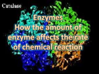 Enzyme Powerpoint | PPTX