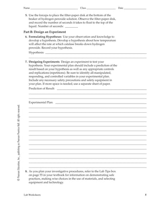 Enzymelab | PDF