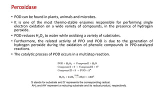 Enzyme lab class | PPT